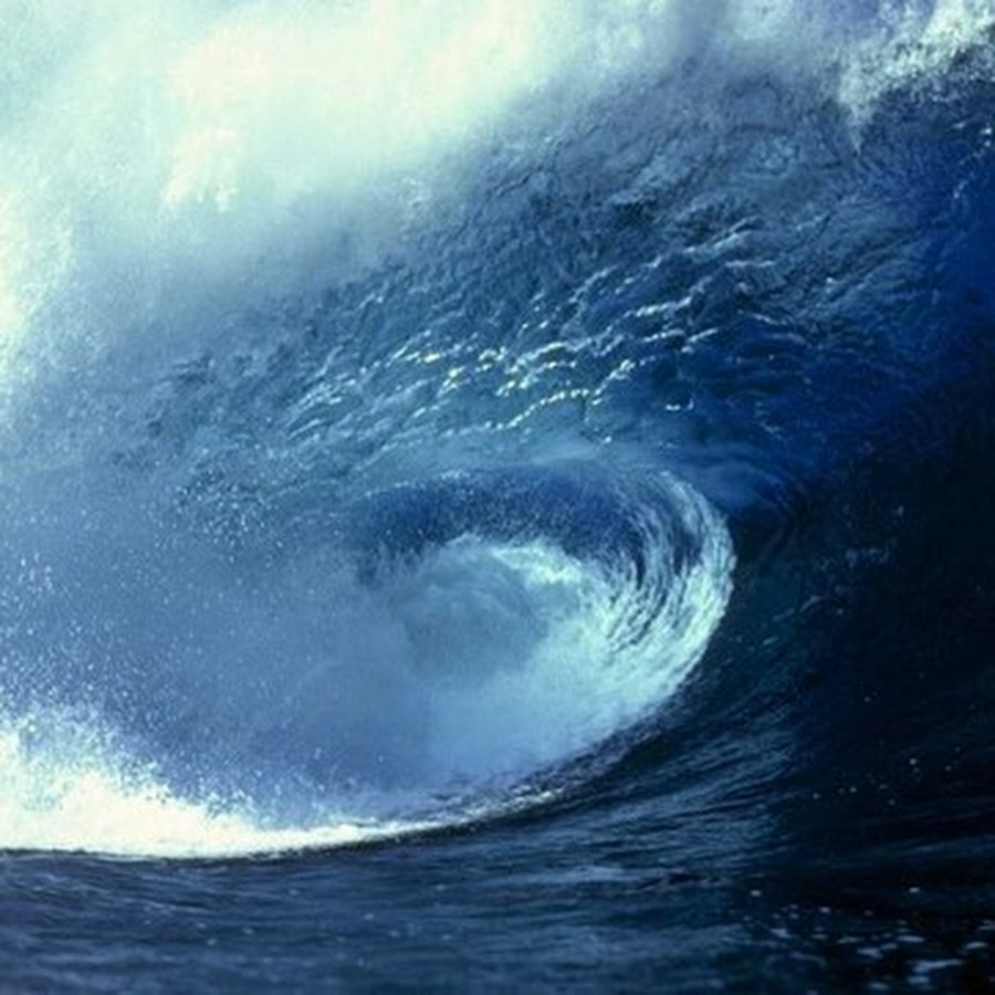 AMLnZu_DgIEjsDiB-j4rG5L5lmqjkYvTFLHWaUByj5Fu=s900-c-k-c0x00ffffff-no-rj