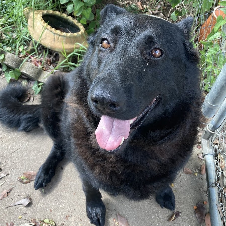 AMLnZu_FRnrJjnKCPS46vzCRF7Te3cHIz5ZLzosUk07MTA=s900-c-k-c0x00ffffff-no-rj