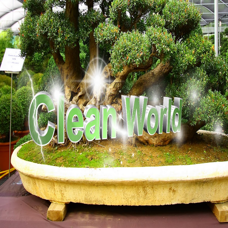 AMLnZu_GCQ6mLTJbgnrx1uk68KpWR1dCm21dYHOX1fPyiA=s900-c-k-c0x00ffffff-no-rj