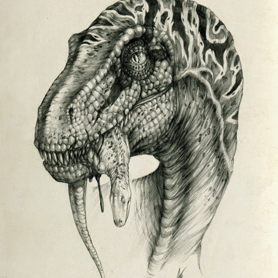 AMLnZu_IljoPrUdWRW1EshDW1Vv1PZZcQDeaBhYDwrR5=s900-c-k-c0x00ffffff-no-rj