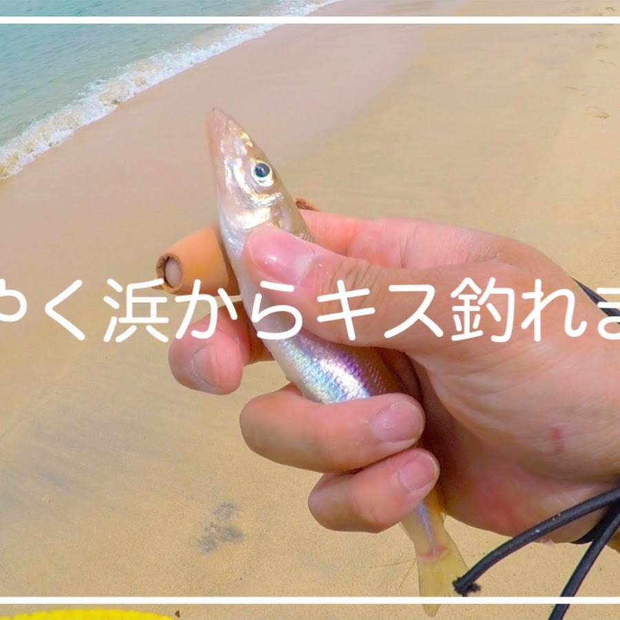 AMLnZu_QpEQTdg6C4Gfr_78gnL6wHRG7LDqxNiIg2qXrLA=s900-c-k-c0x00ffffff-no-rj