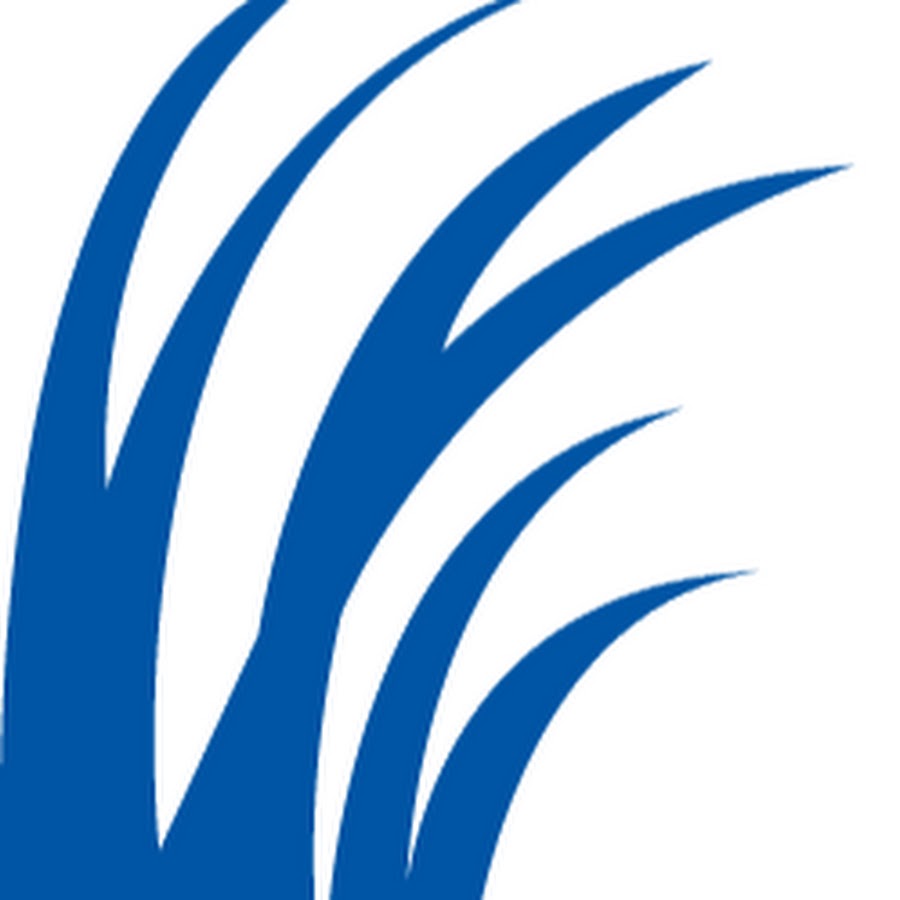 AMLnZu_RUa7ex861dd1JtNreAdvTijJIXw8pnWLAcQwp=s900-c-k-c0x00ffffff-no-rj