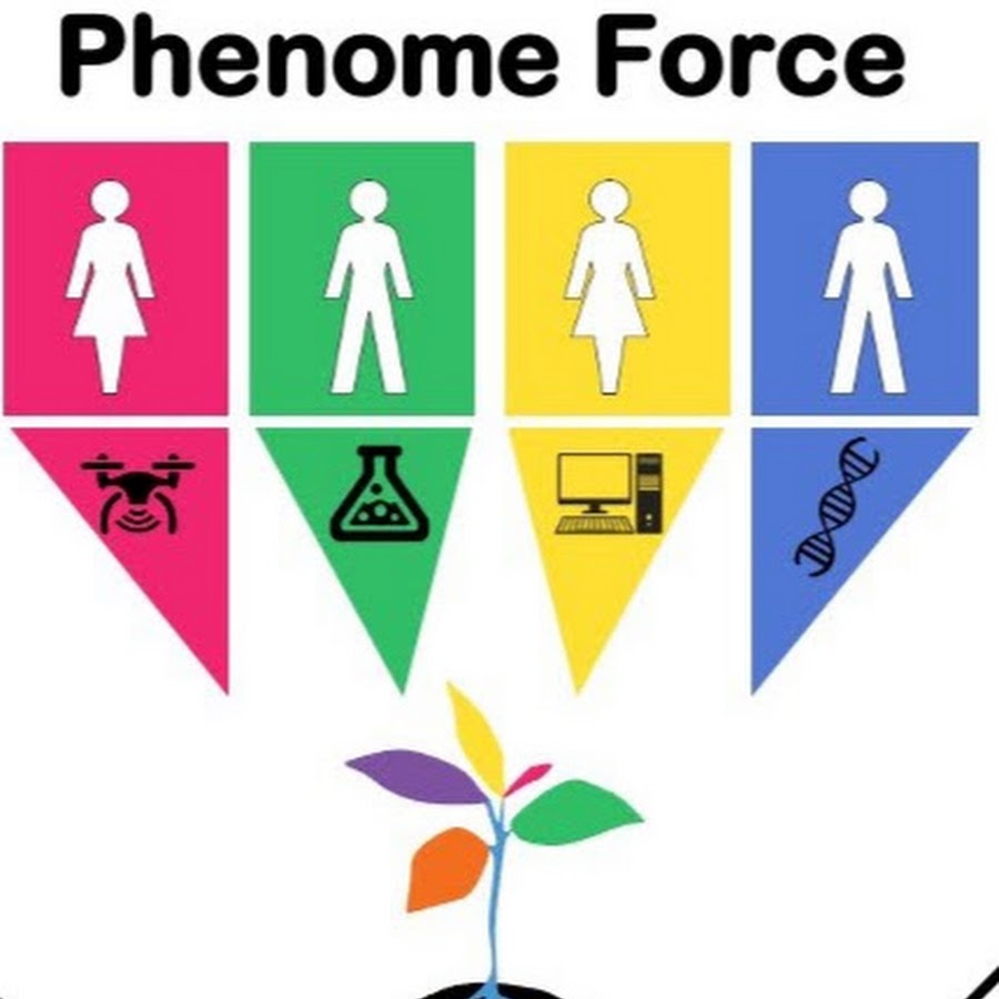 AMLnZu_SXYAk4xf_4czBRMY2Hyt5InpN1AyZ0vCZFdFc=s900-c-k-c0x00ffffff-no-rj