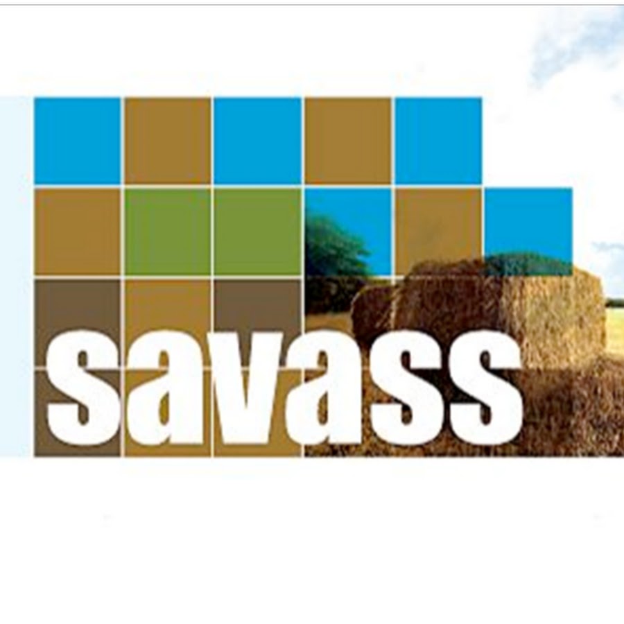 AMLnZu_VGEuhz9GqO9ZkOzN7T4Ww1G5hmv131eDlXuZS=s900-c-k-c0x00ffffff-no-rj