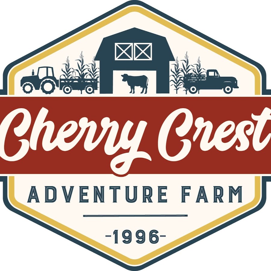 AMLnZu_Vuf5s-OtjUabvIl7mEDmRRZqbtXbDB3olokFvOg=s900-c-k-c0x00ffffff-no-rj