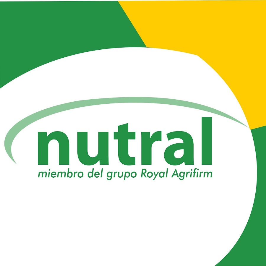 AMLnZu_aRAvsk2RvR_jJ8Zd6Qs_nAkOrDQUltfAJ9pBAaQ=s900-c-k-c0x00ffffff-no-rj