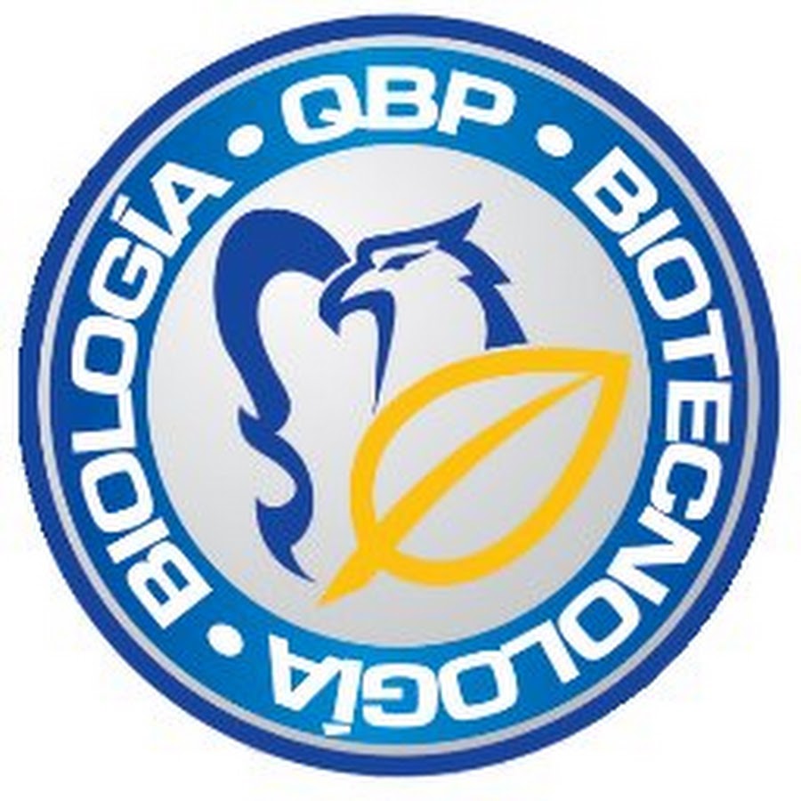 AMLnZu_cYD6HL9Xw3IAxkGWGIg-MS89TRw_CvyV4Np4=s900-c-k-c0x00ffffff-no-rj