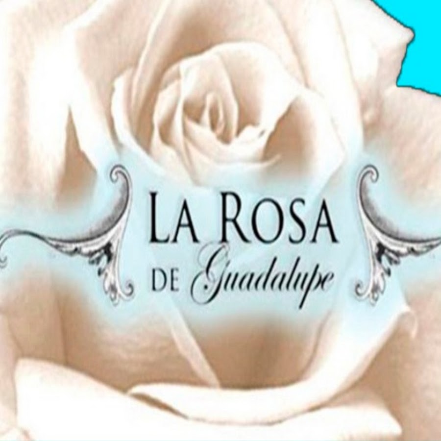 AMLnZu_dM0HyBtJqAgeqmi3sZ5Amy5KYfKBnG2QNKF5i=s900-c-k-c0x00ffffff-no-rj