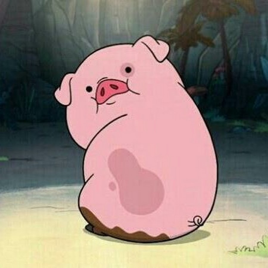 AMLnZu_fKvF9BD2C6rKpjQgDjSLoC63oG6GzOhcWQ4nX9g=s900-c-k-c0x00ffffff-no-rj