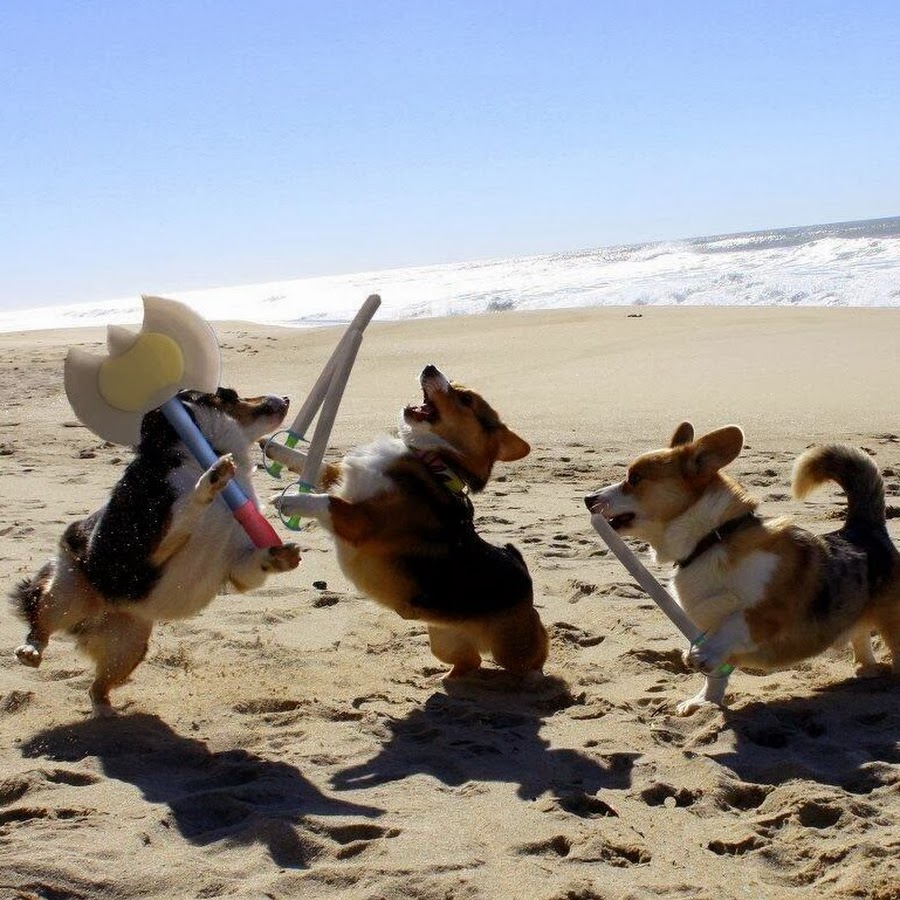 AMLnZu_iLEhwC3hk9YCHLwTi6yLe0l0LWdEL_uOapJkn=s900-c-k-c0x00ffffff-no-rj