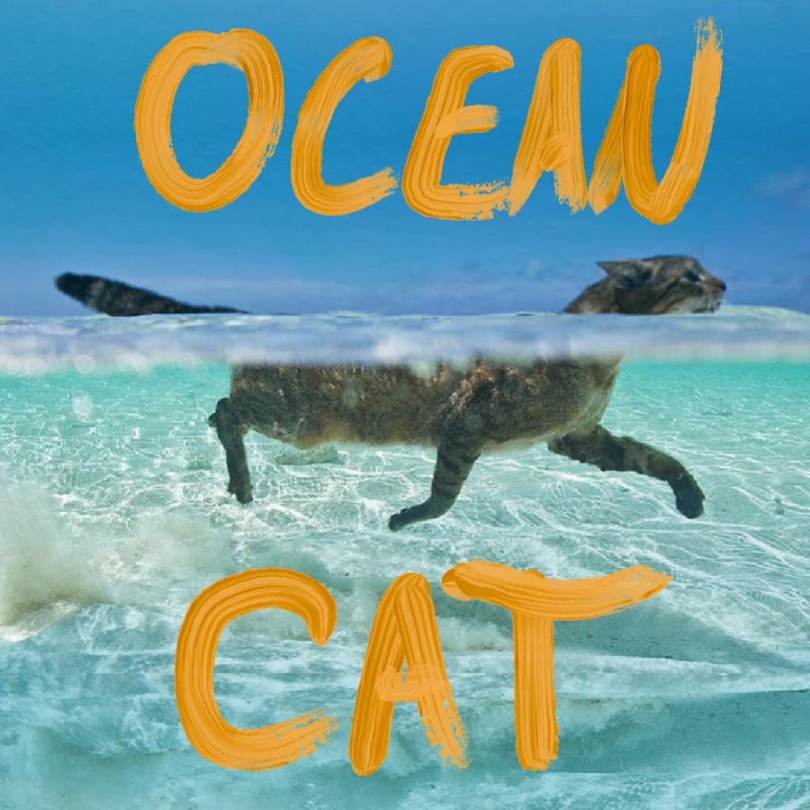 AMLnZu_m_zp7LgYqWcTBrTa-8A-AZz-GDcM-8jV81FFcvQ=s900-c-k-c0x00ffffff-no-rj