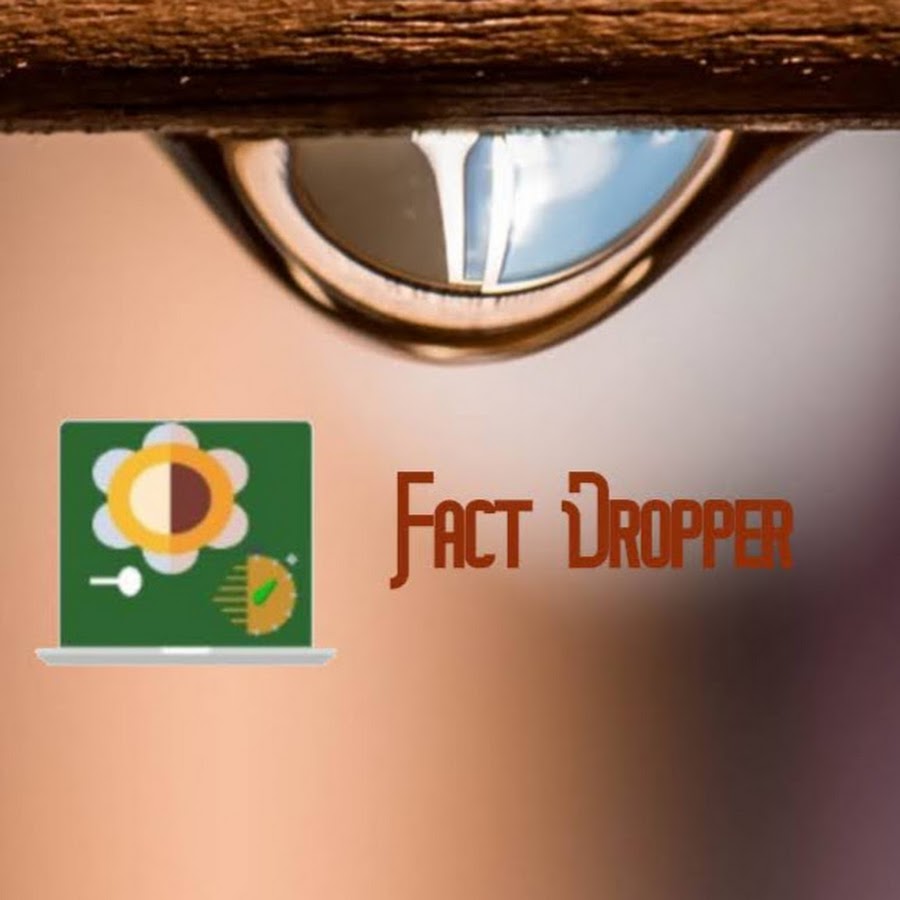 AMLnZu_rx78W4fOx_9u4QgTsYmdqBlIfEdZTueJ6V9Qp=s900-c-k-c0x00ffffff-no-rj