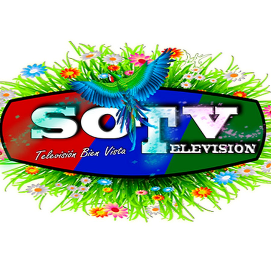 AMLnZu_wWAbYEUZyhh_0g3hJ22DEZX9jvq0CnLRv4X39=s900-c-k-c0x00ffffff-no-rj