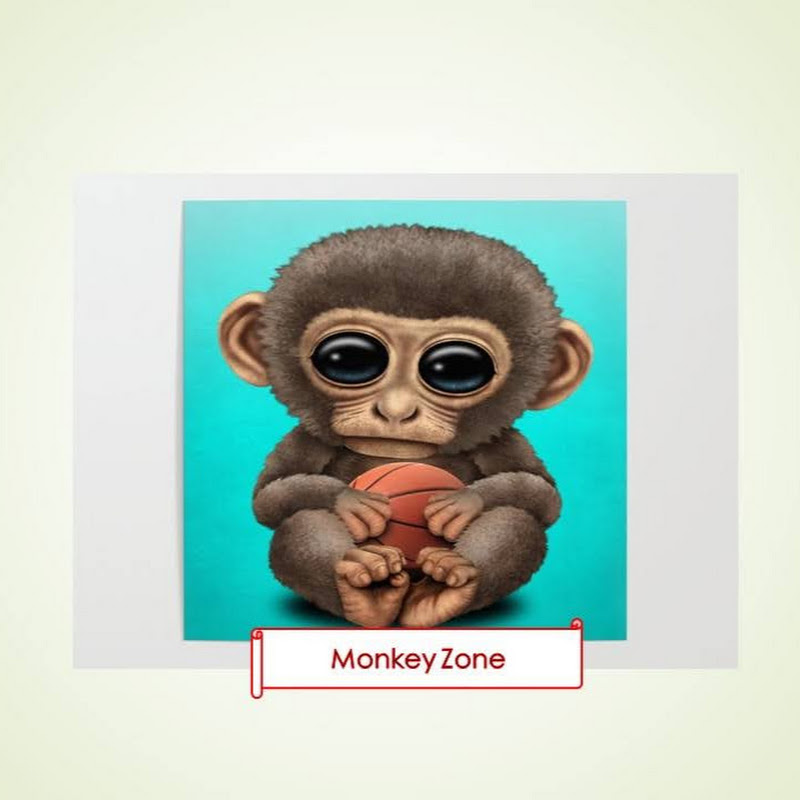 Monkey Zone's YouTube Stats and Insights - vidIQ YouTube Stats