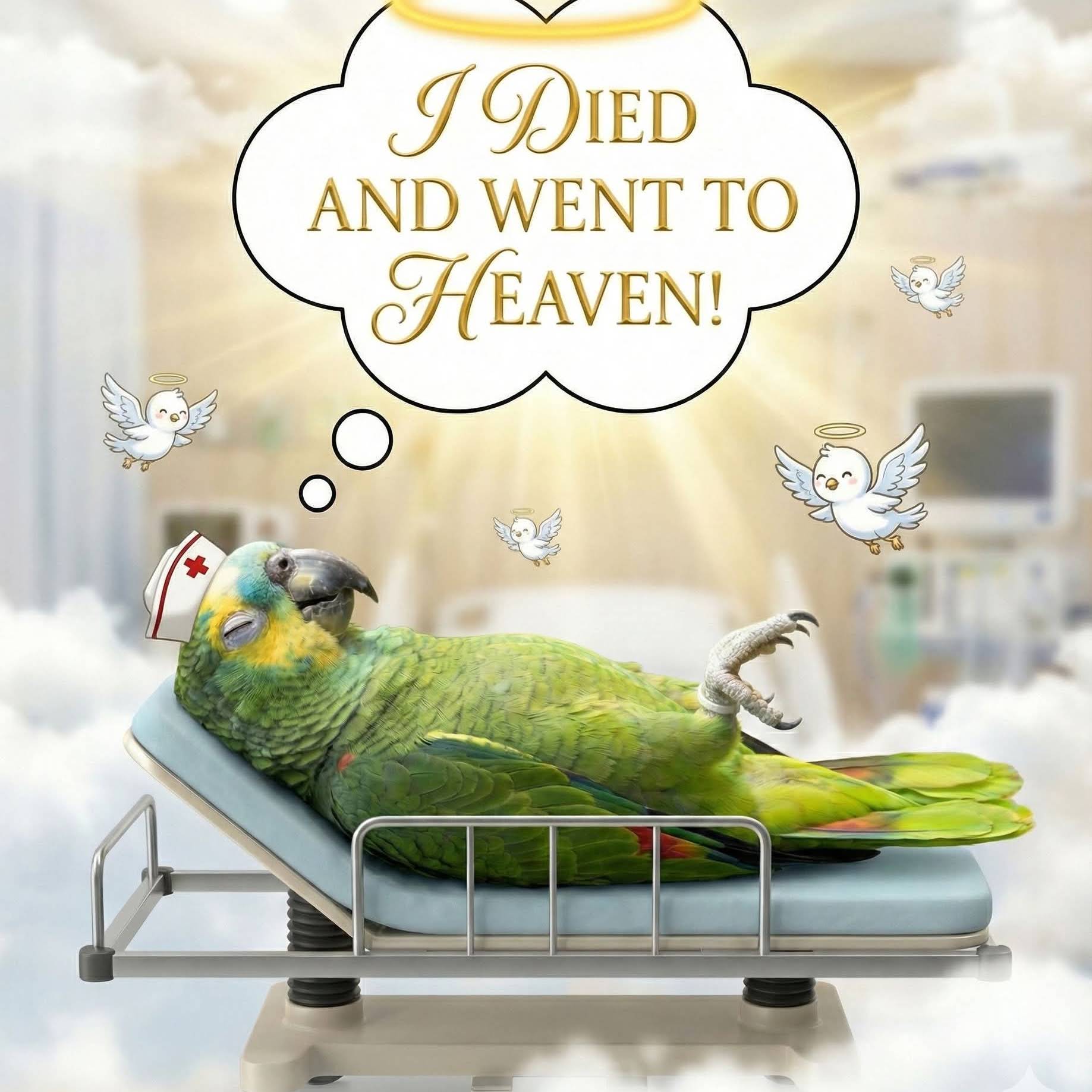 Post from parrot and cops Gossips comedy