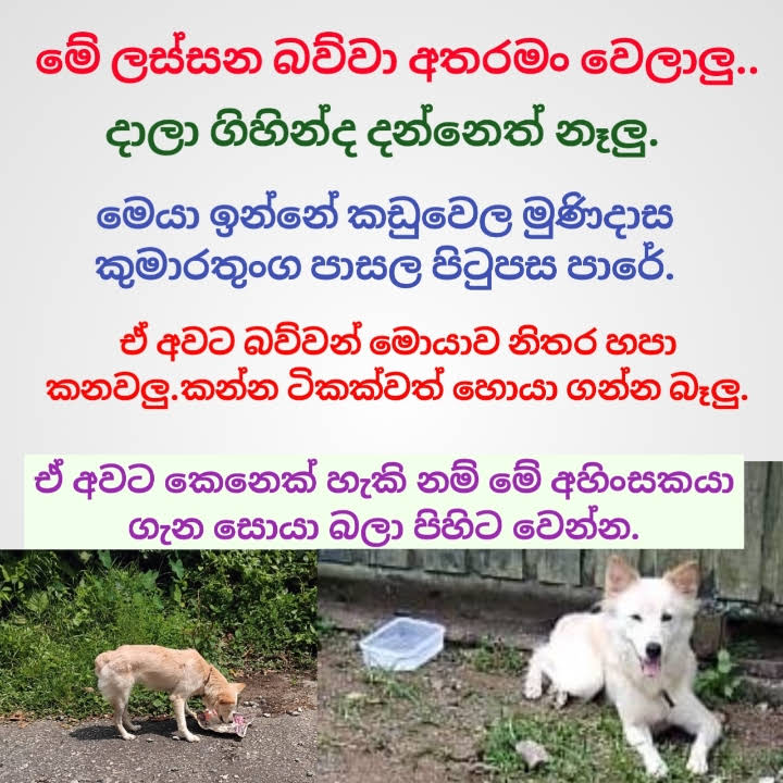 Post from DARSH & MARSH