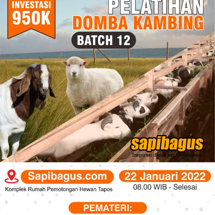 Post from Sapibagus TV