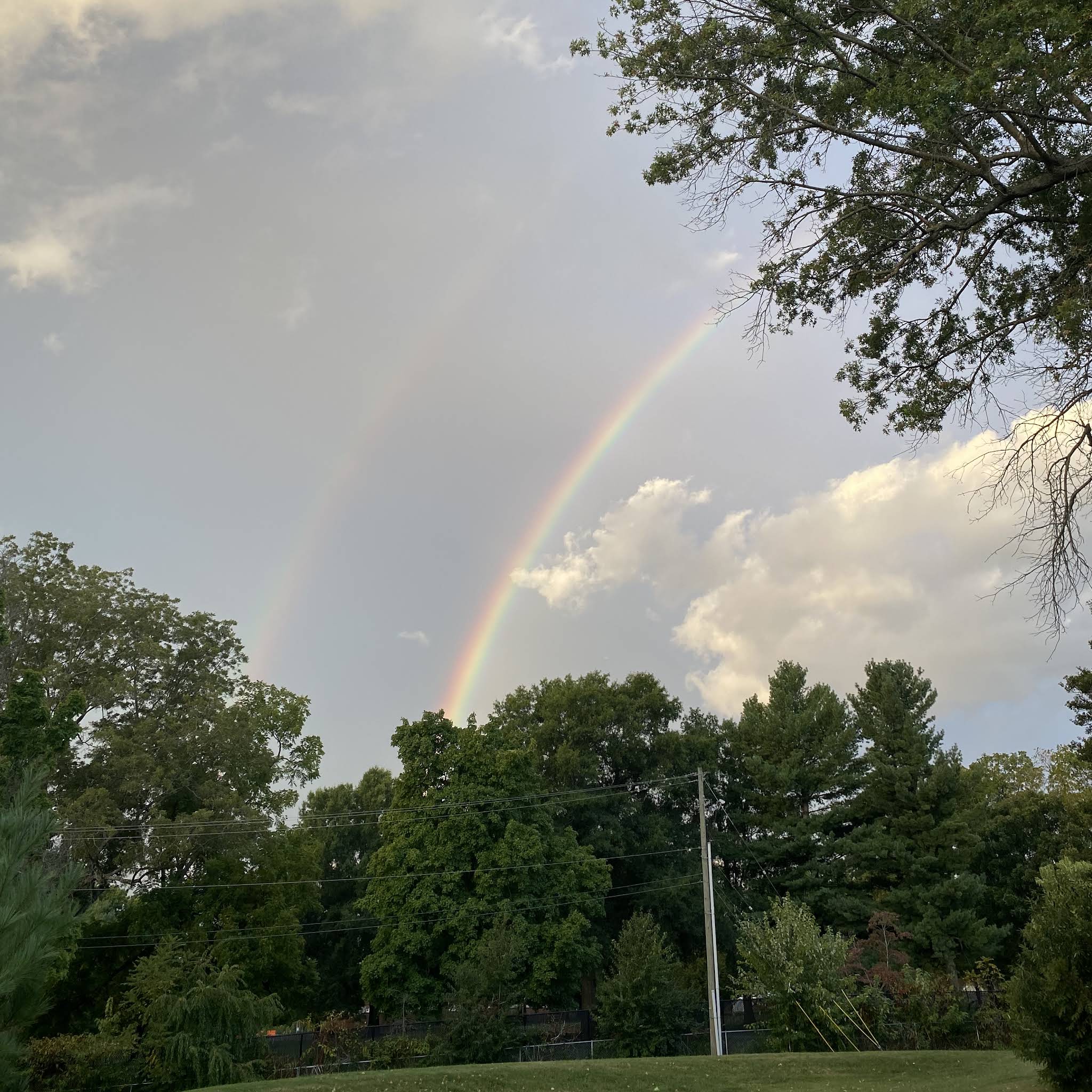 Post from Beez Intuition