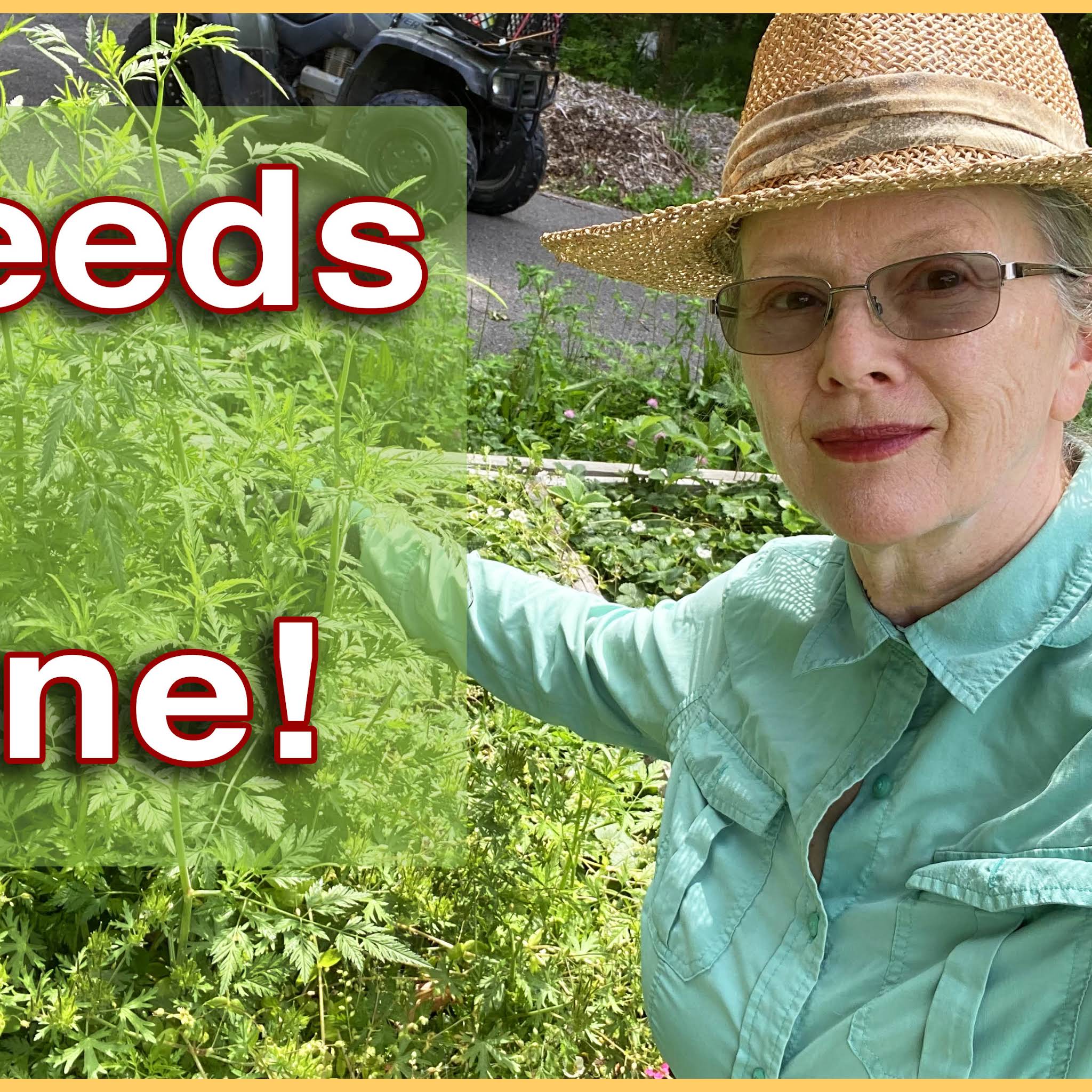 Post from Kaye Kittrell Late Bloomer