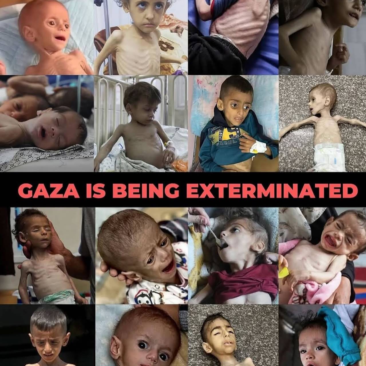 Post from Saleem Hammad