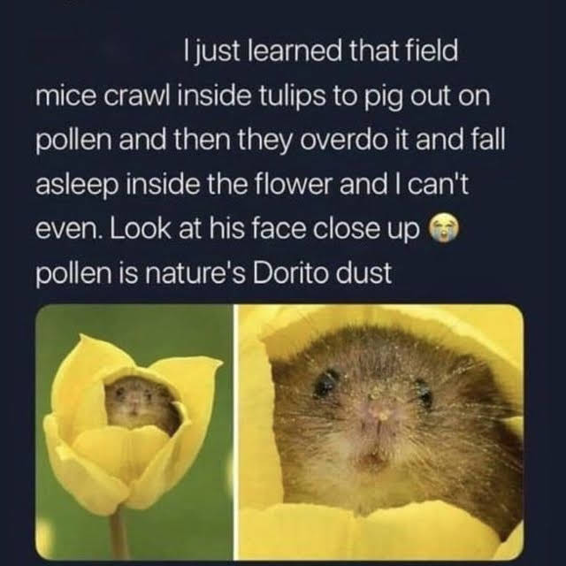 Post from No One Any Moore