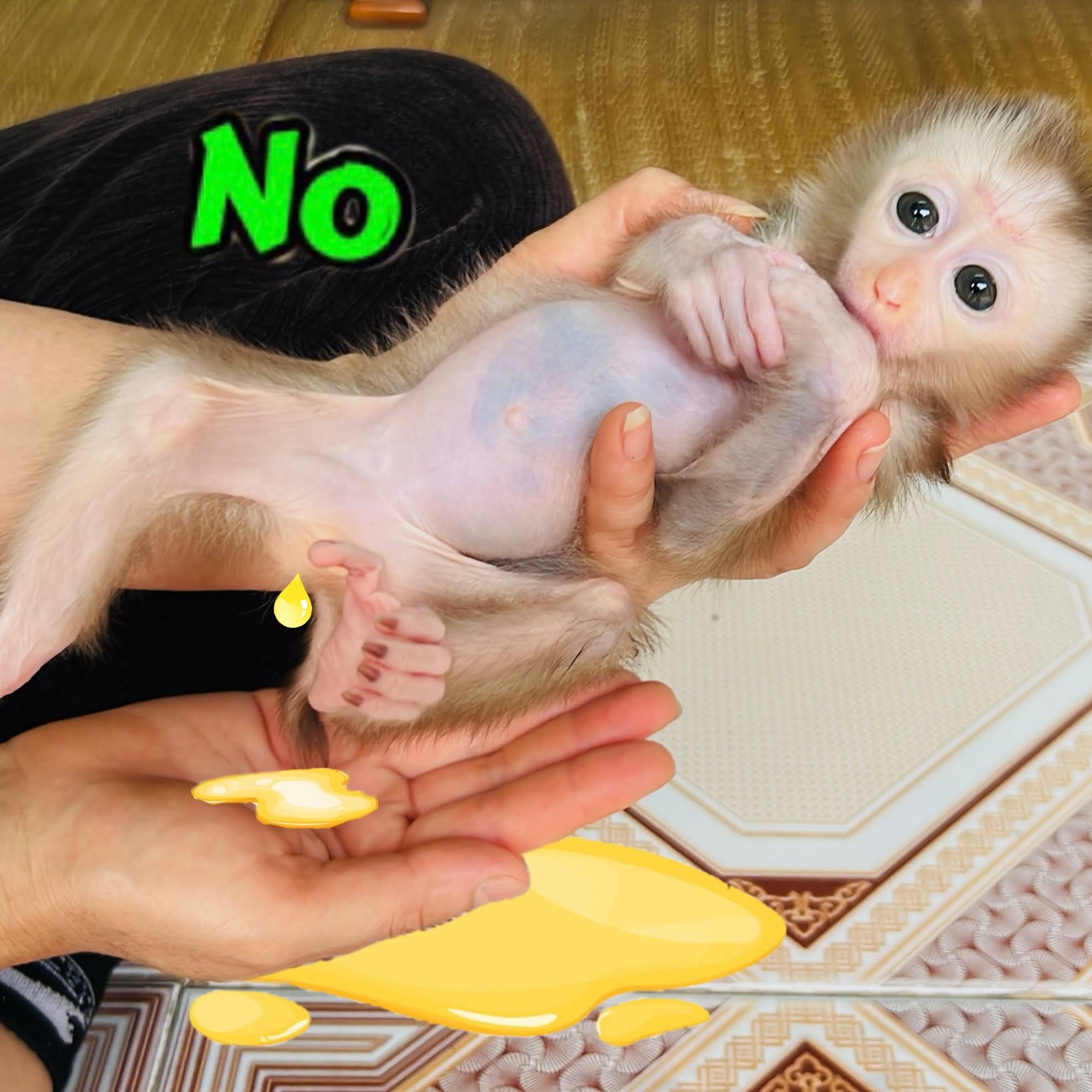 Post from Monkey Tina