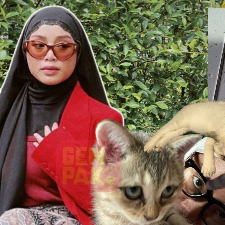 Post from Astro Gempak