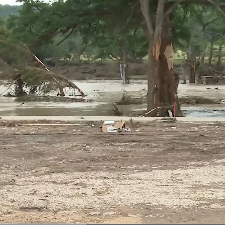 Post from REBECCA ROHR HOME