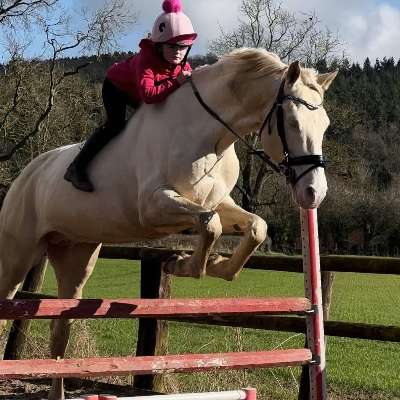 Post from Jumping With Ivy