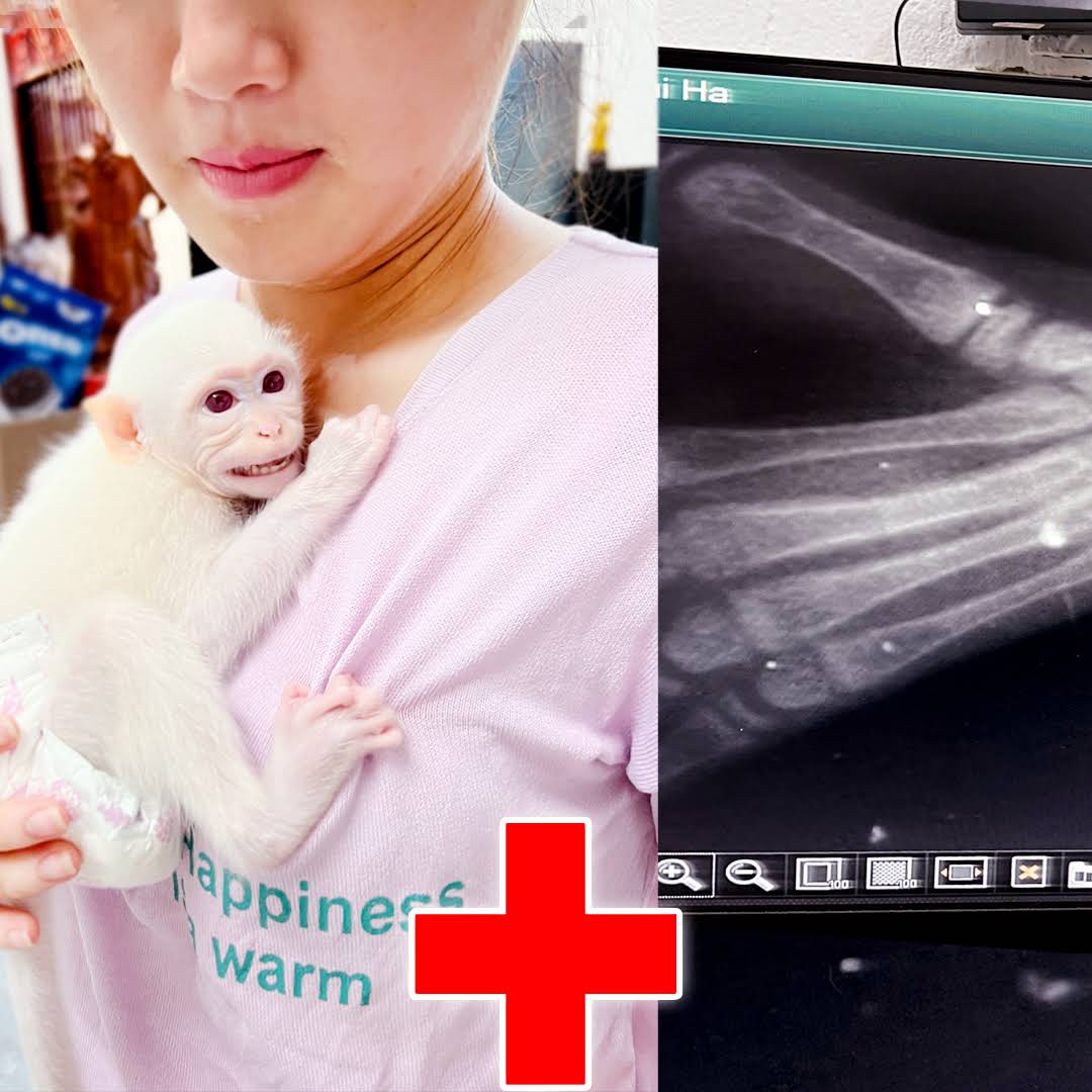 Post from Lovely Ruby