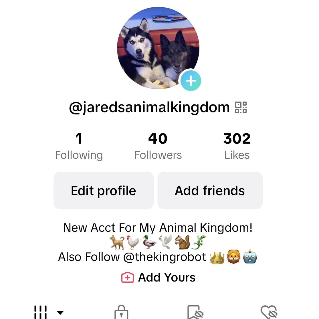 Post from The King Robot