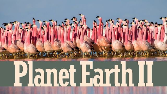 Watch Planet Earth 2 online | YouTube TV (Free Trial)