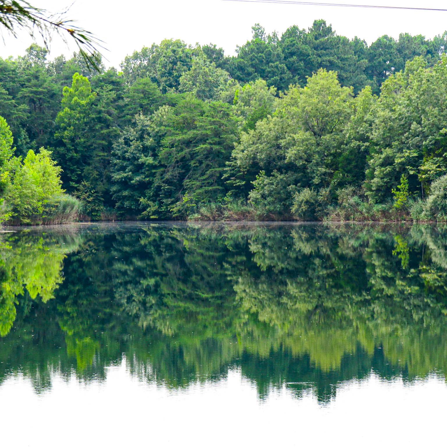 Post from L&M Country Living