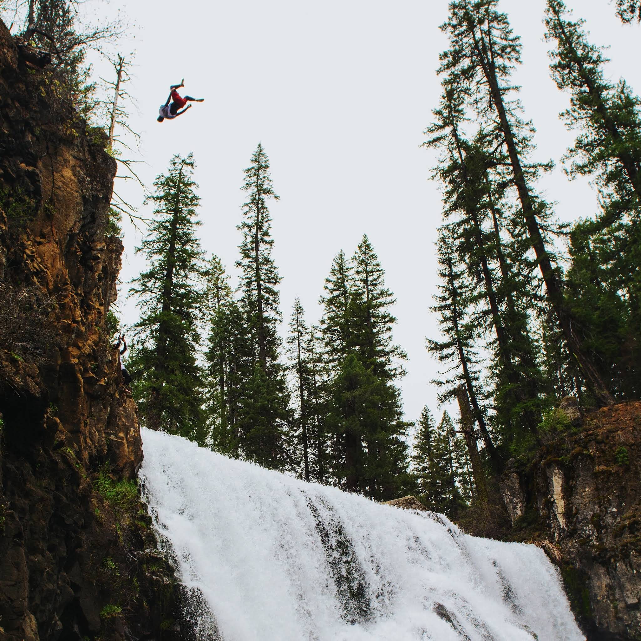 Post from ANDREW LEVITT