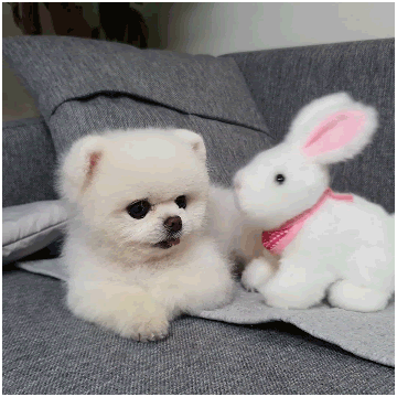 Post from [THE SOY] RuPong house