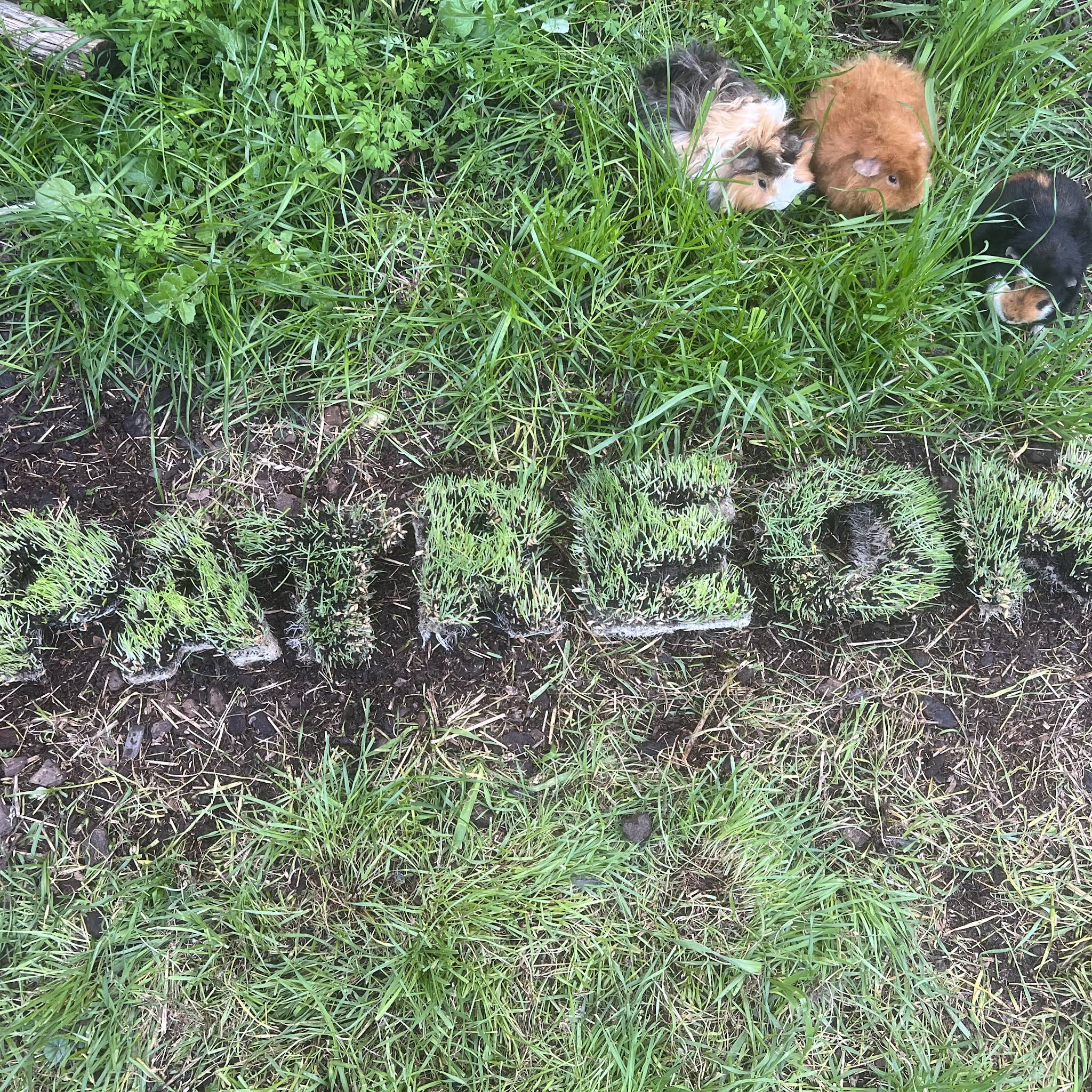 Post from Cid Dwyer Outside