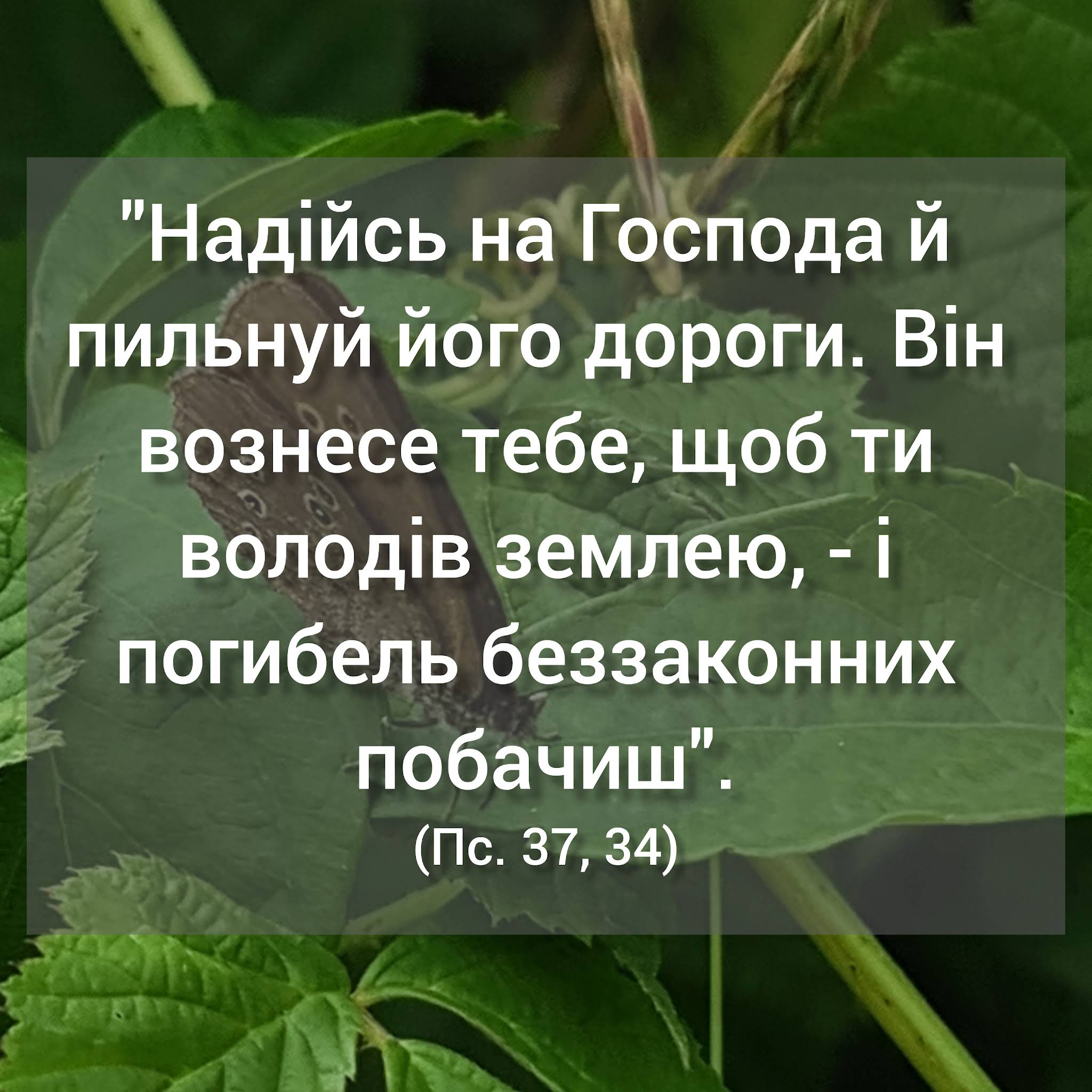 Post from Sky Studio